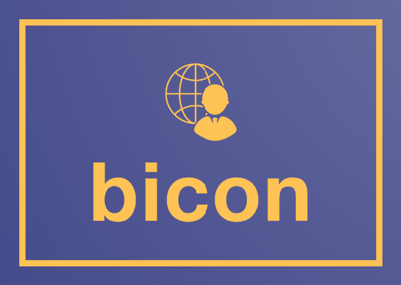 Top IT Consulting & Development Company in Minneapolis|Bicon Systems